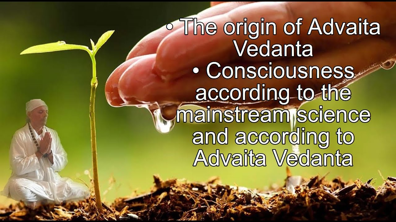 The Origin of Advaita Vedanta. Consciousness according to the ...
