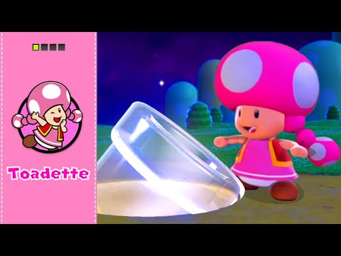 What if Toadette is playable in Super Mario 3D World?