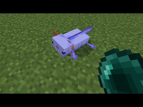 O Que Tem Dentro Do Axolote Raro? - YouTube