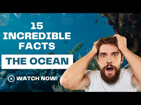 15 Incredible Ocean Facts: Secrets of the Deep That Will Amaze You! # ...