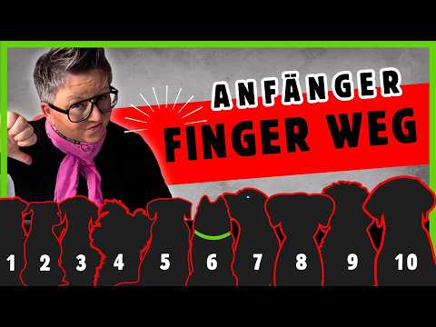 Diese Hunde gehören NIEMALS in Anfängerhände