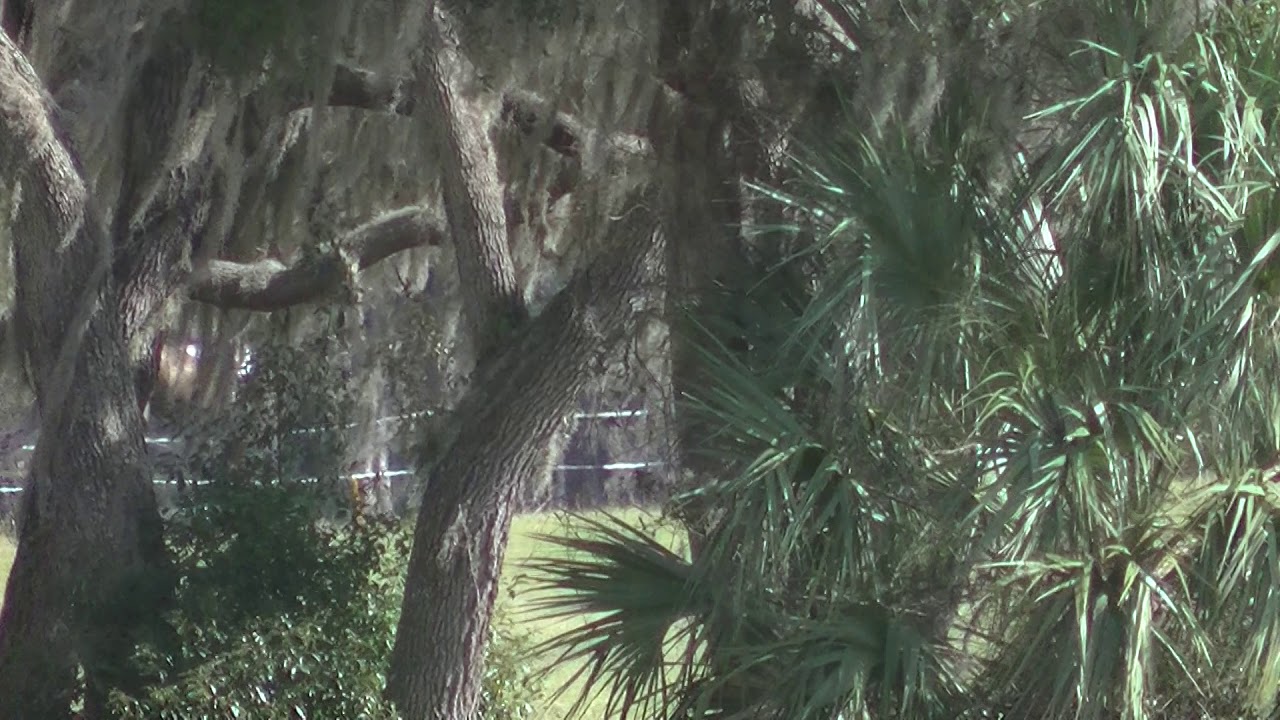 Rick Maynard & Galileo OBN XC - YouTube