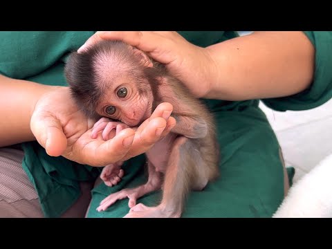 Oh my gosh, baby Hercules is so spoiled by Erna