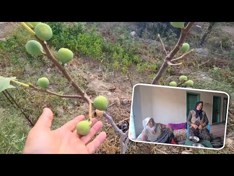 İZMİRDEKİ BAHÇEDE TUR | Şaşırdım Çirkin Olmuş | Sarhoş Oldum | Fatma Annenin Emanetini Verdim