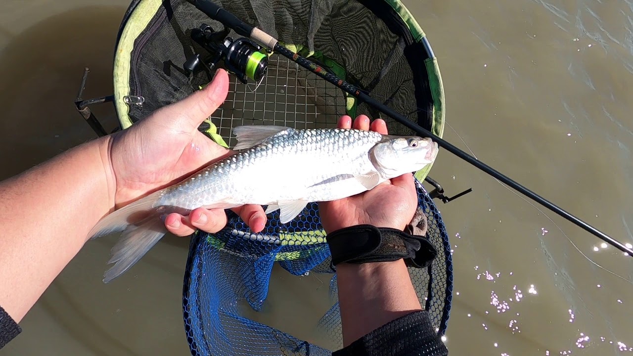 Vaal Dam, Boschkop S1,Ep2 - YouTube