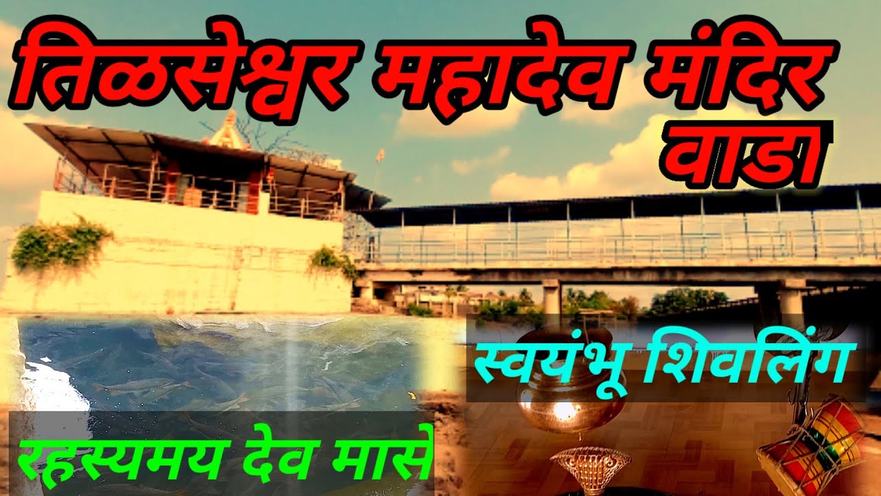 तिळसेश्वर शिव मंदिर | रहस्यमय देव मासे | Wada | Tilsa Wada | Palghar ...