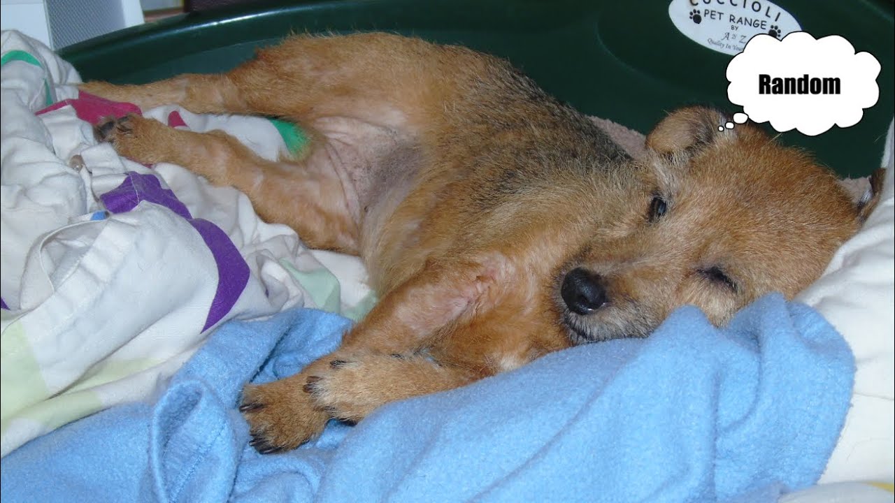 Bench Tidy 1 Seaton - YouTube