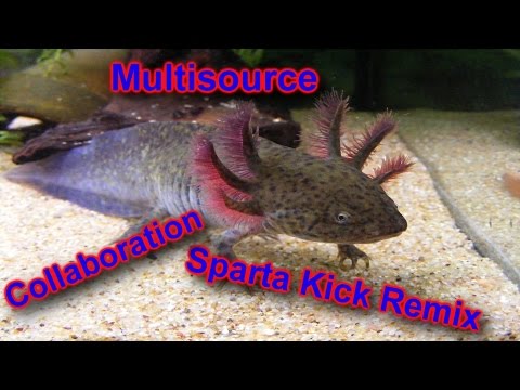 The 18 Part Sparta Kick Collab - YouTube