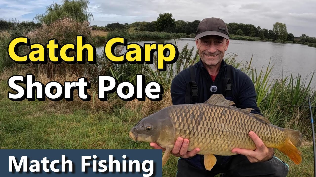 Easy Short Pole Fishing for Carp | Match Fishing - YouTube