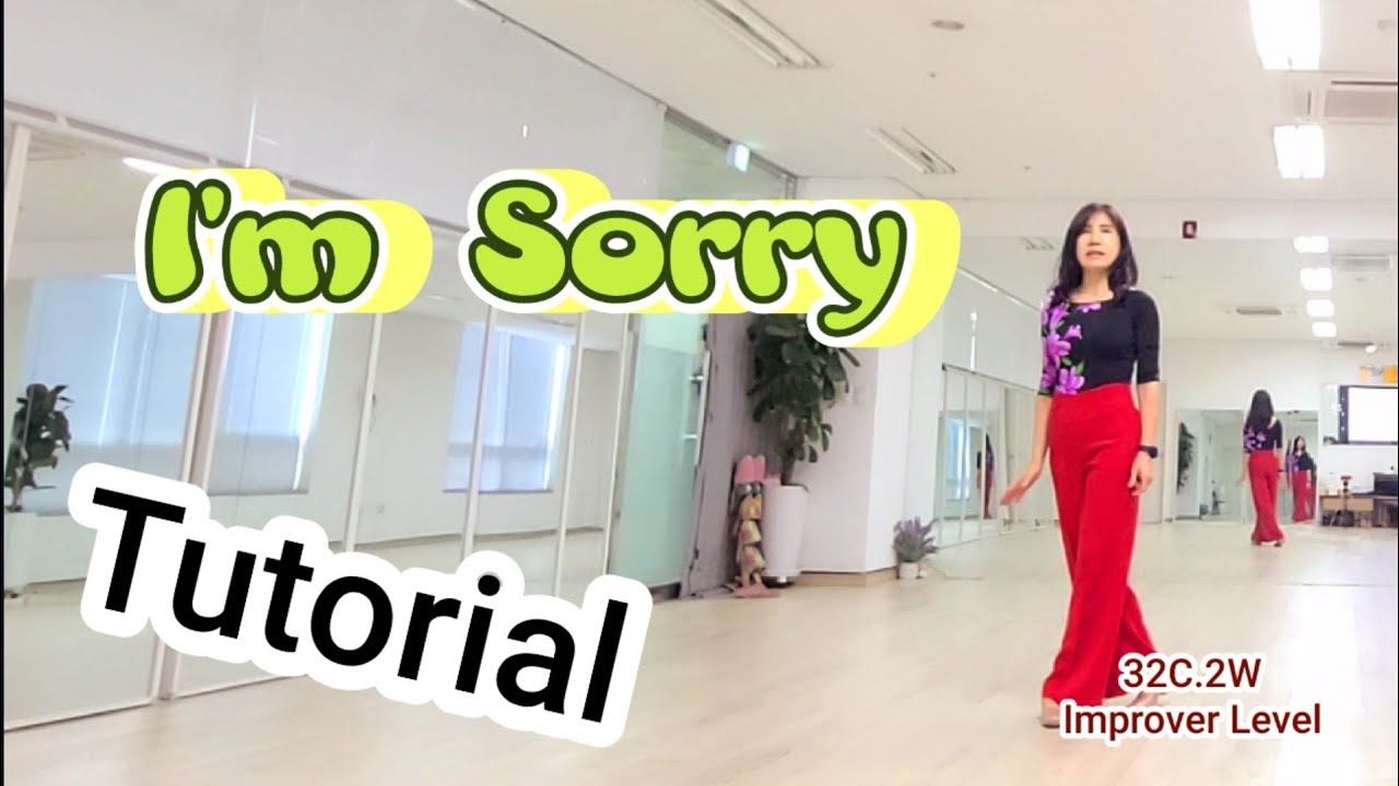 I'm Sorry Linedance (Tutorial) Improver Level - YouTube