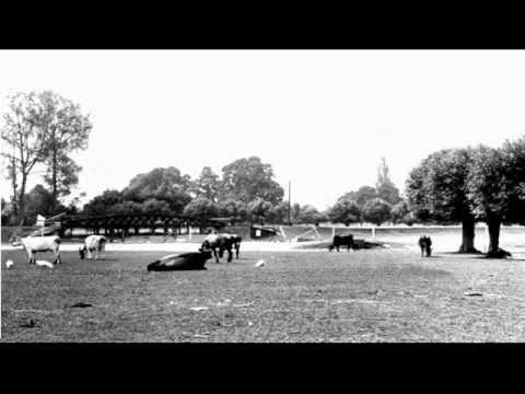 Cookham Moor, Causeway & Footbridge 1895 - YouTube