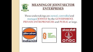 Joint Sector Enterprises