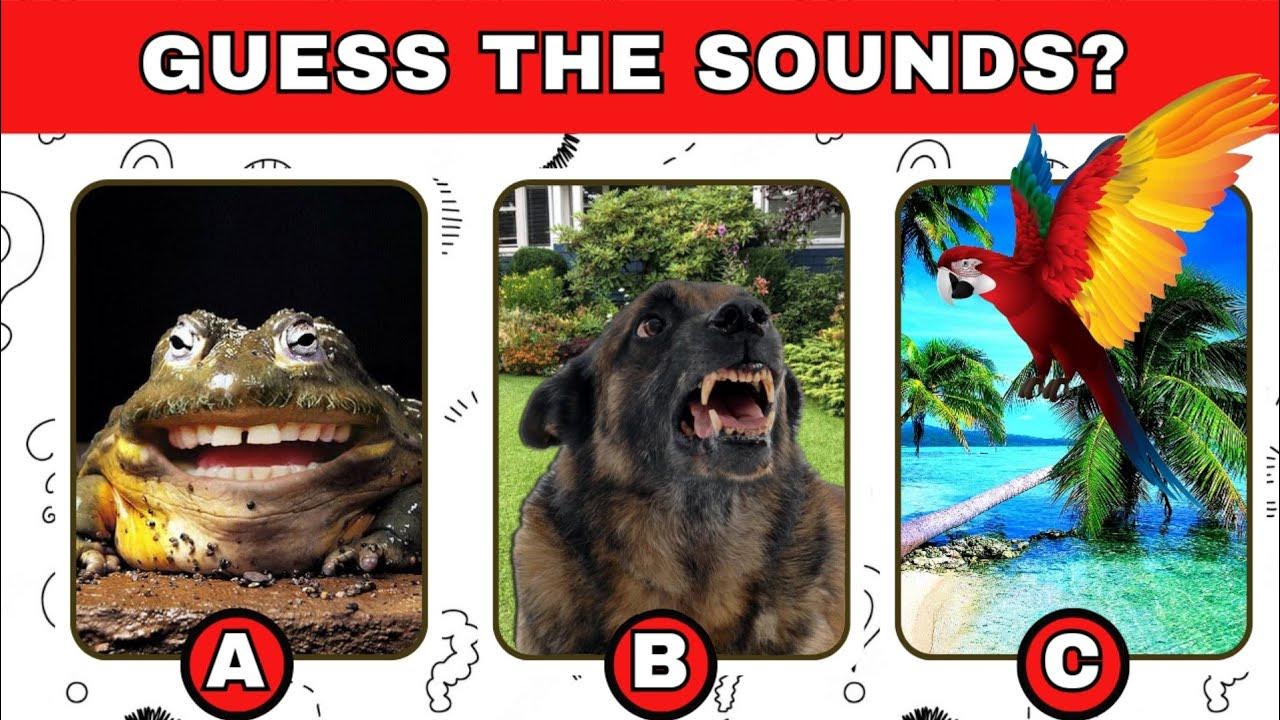 Guess the Sound Game | 20 Sounds to Guess - YouTube
