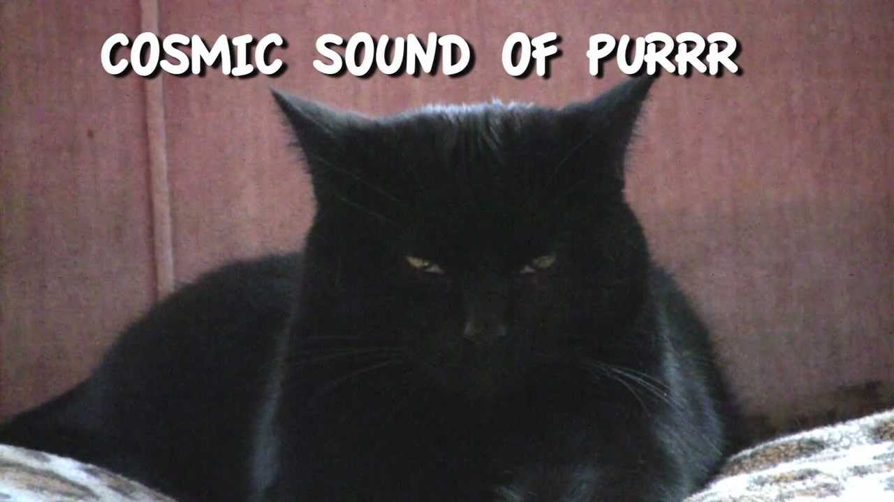 The Cosmic Sound of Purrr - YouTube