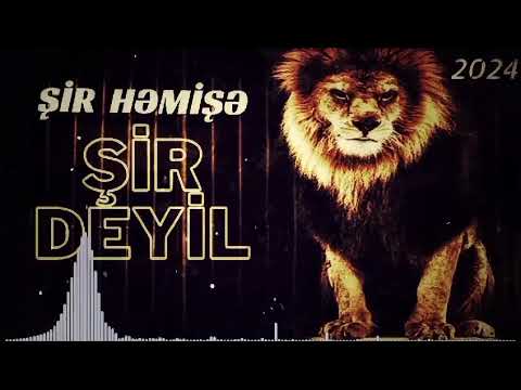Orxan Deniz - Sir hemise sir deyil 2024