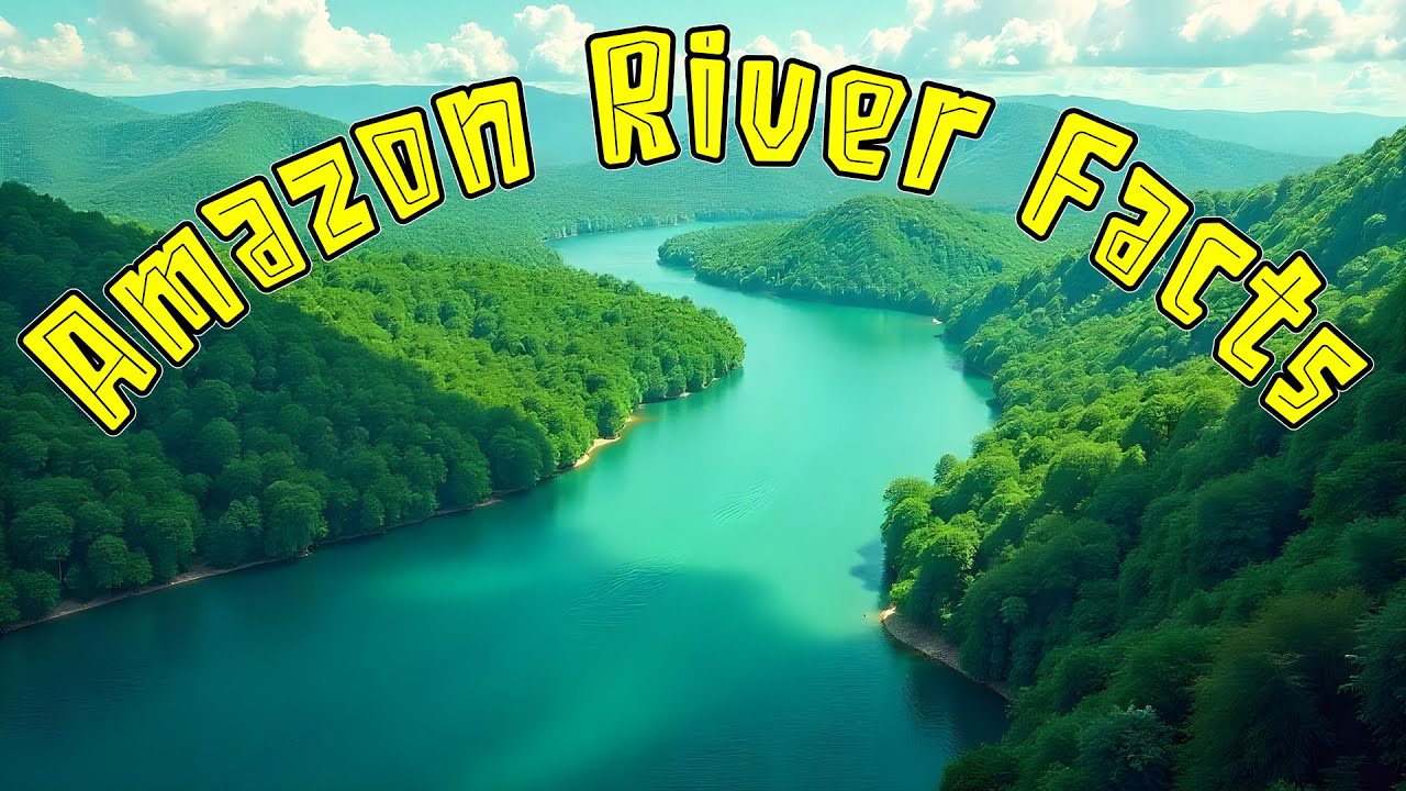 Amazon River Facts for Kids - YouTube