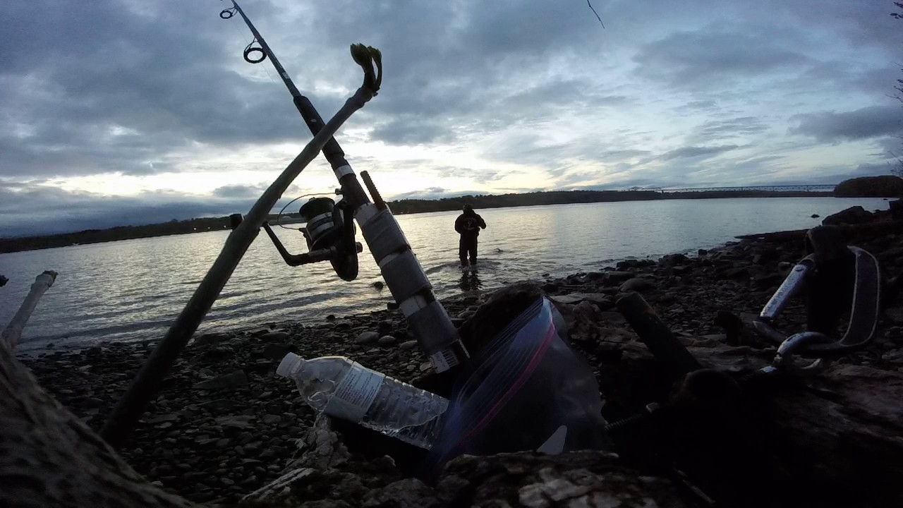 Relaxing afternoon of fishing - YouTube