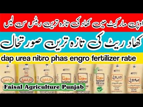 dap rate today / fertilizer price today/ khad rate today/ engro price ...