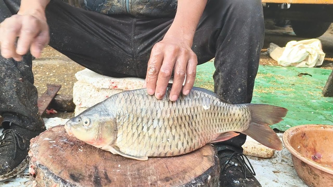 amazing big carp fish cutting skill ! fish cutting skill fish market in ...