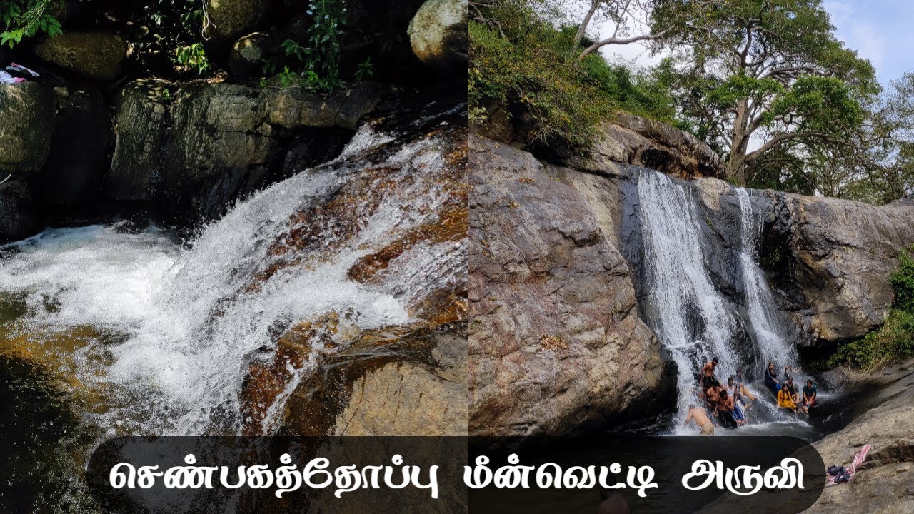 Travel Vlog | Srivilliputhur Shenbagathoppu | மீன்வெட்டி அருவி 🥰 ...