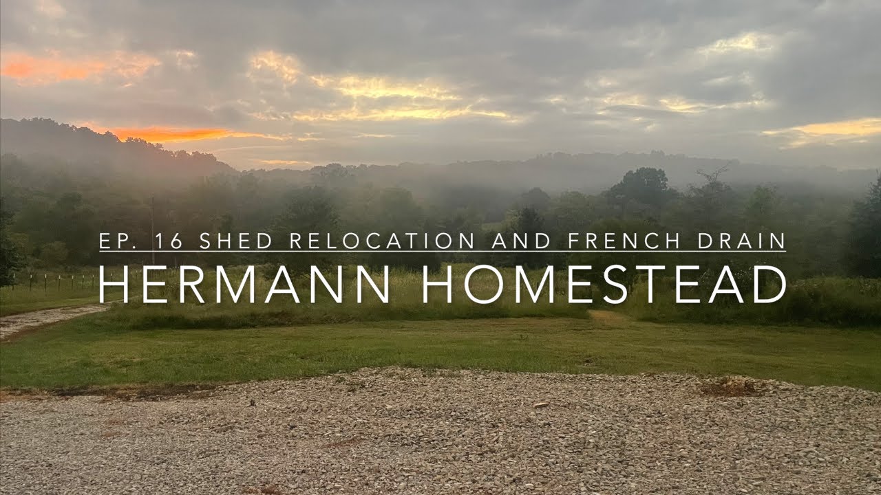 Rustic Cabin Renovation-Hermann Homestead Ep 16 Shed relocation and ...