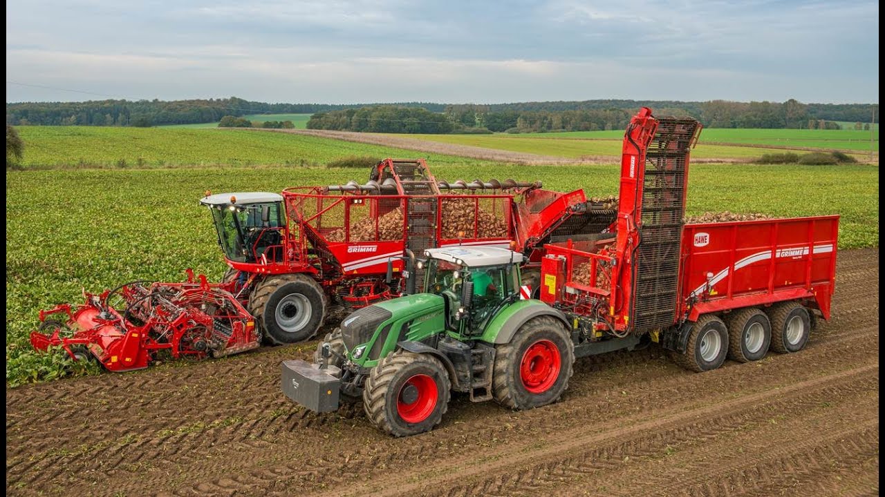 GRIMME REXOR 930 & RUW 4000 | self-propelled 9-row Beet Harvester & Beet Transfer Trailer - YouTube