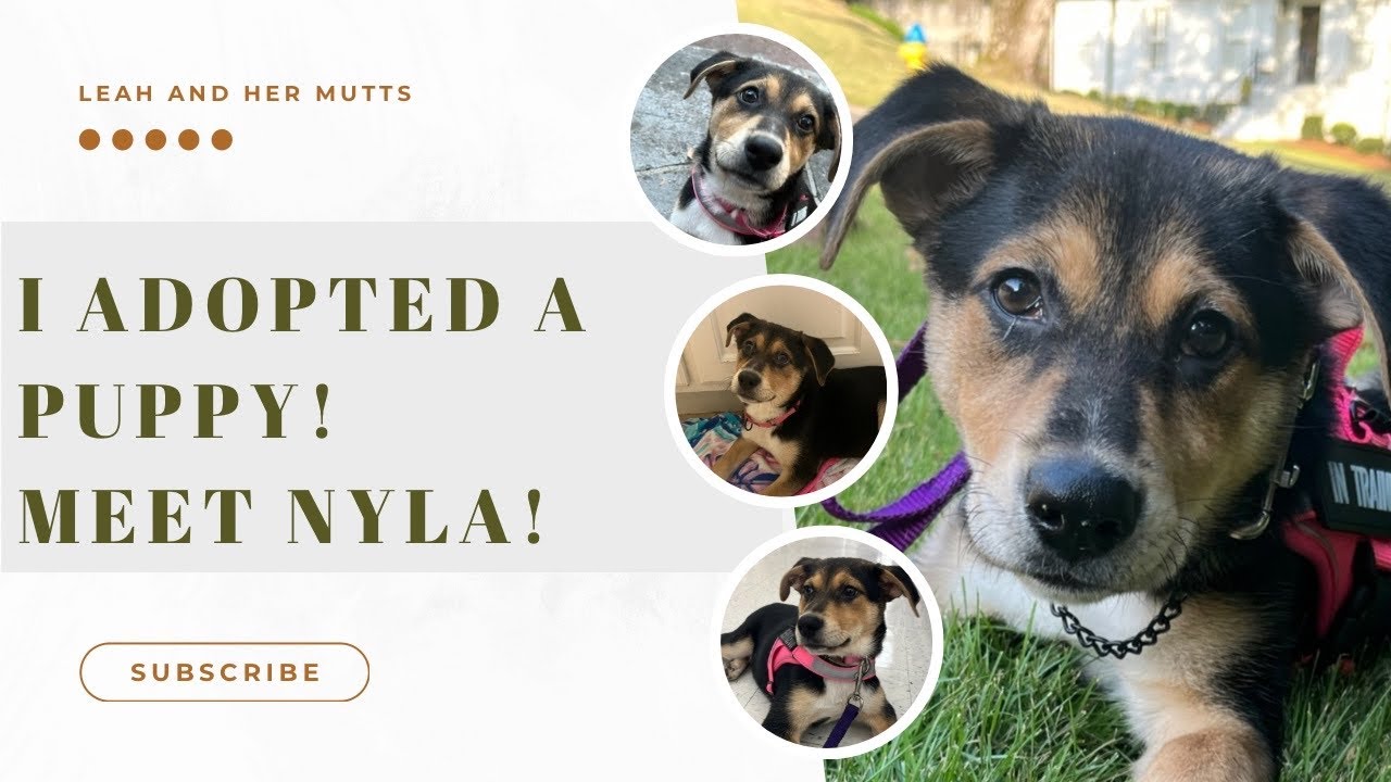 MEET NYLA!!! - YouTube