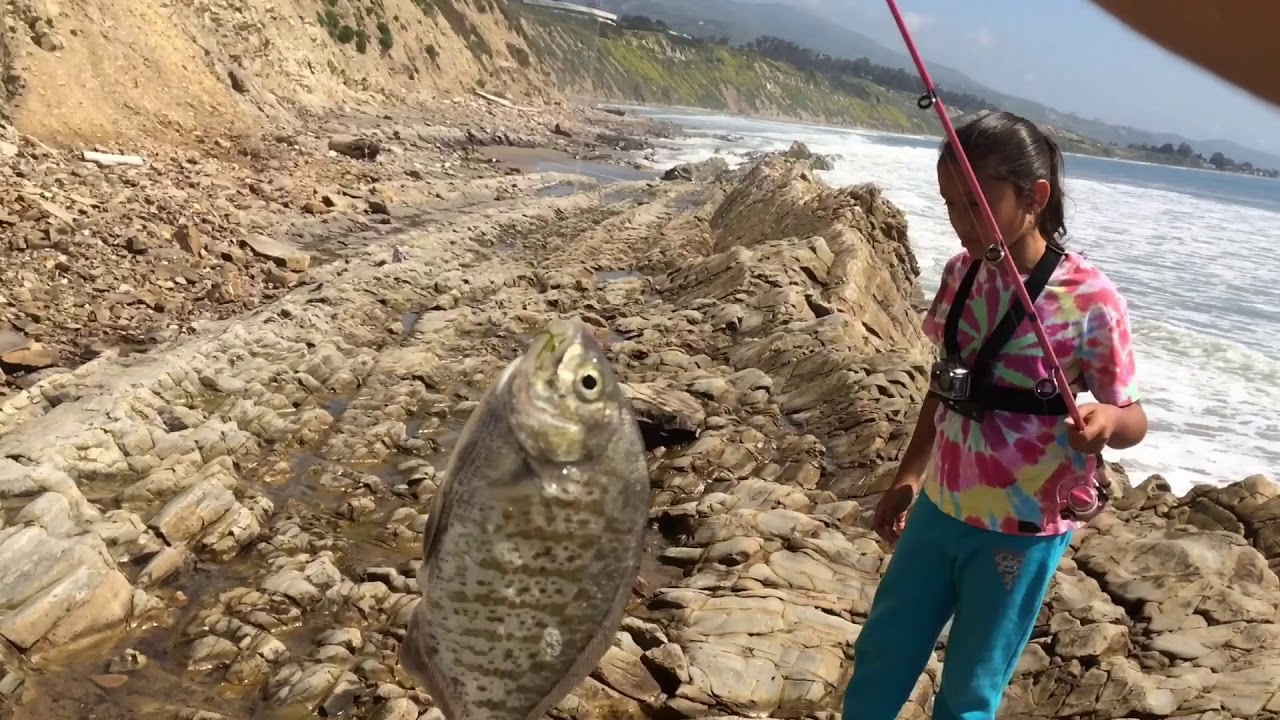 Barred Surf Perch Fishing Around The 805 Catch & Cook - YouTube
