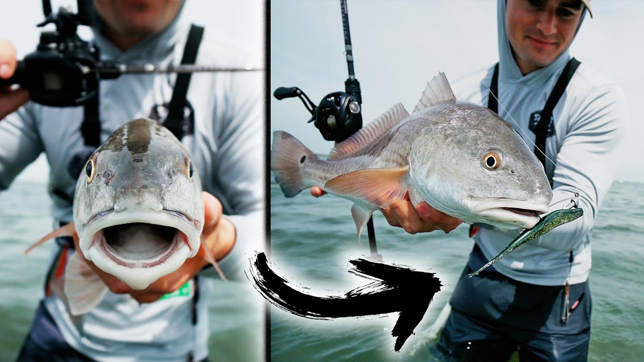 Wade Fishing In Corpus Christi at Darcy Ryan blog
