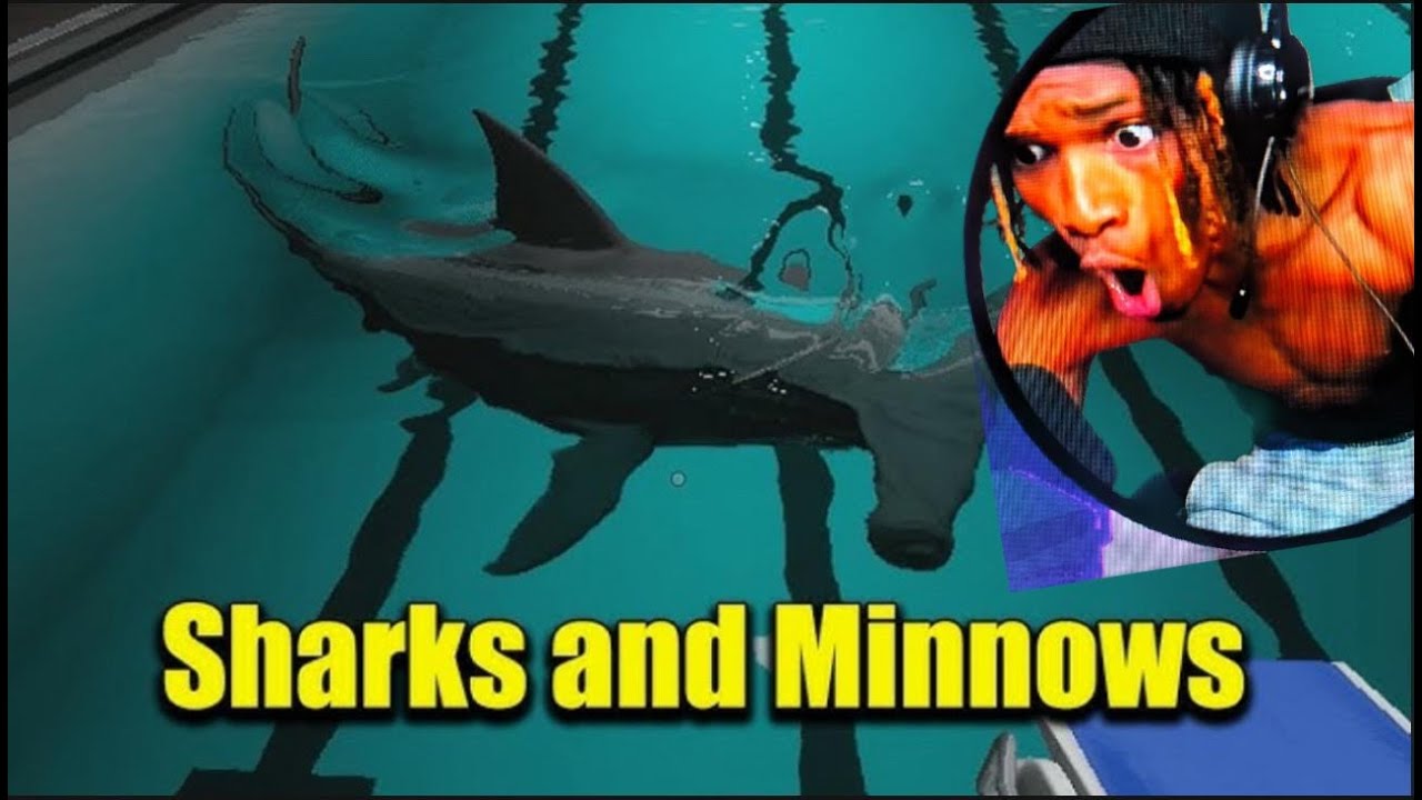 never playing a game like this again[sharks and minnows]part2 - YouTube