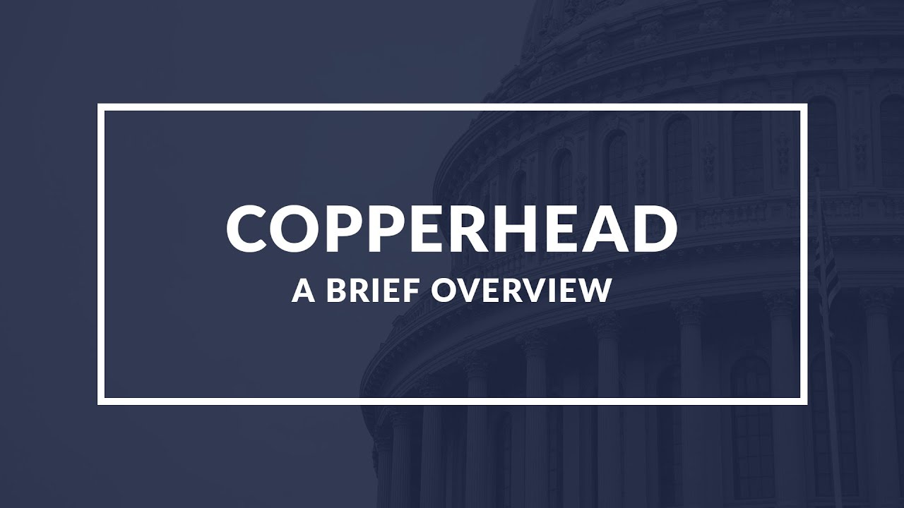 Political Copperheads: Unveiling the Controversial Faction of the ...