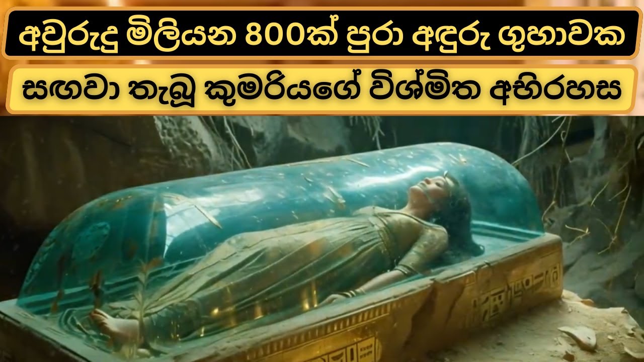 පතල් කම්කරුවෙක් විසින් සොයාගත් අවුරුදු මිලියන 800ක් සැගවුණු අභිරහස ...