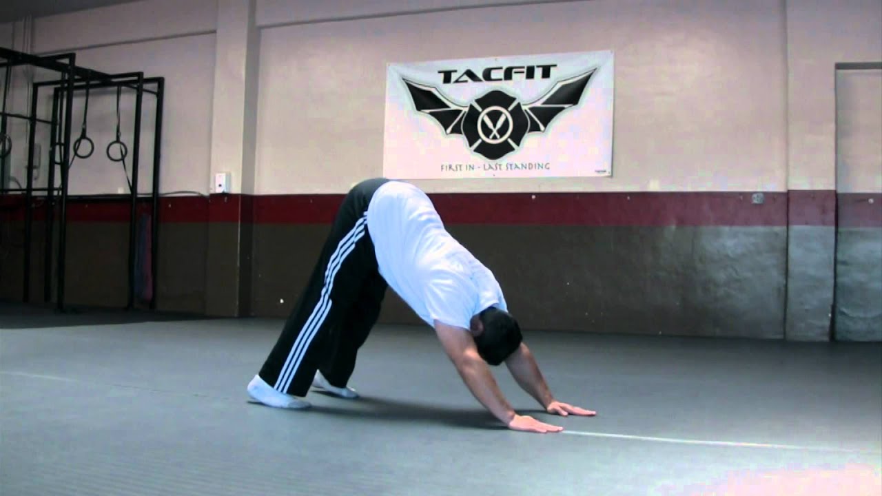 Bear Squat Execise Tutorial, 20-Minute Metcon by John Wolf - YouTube