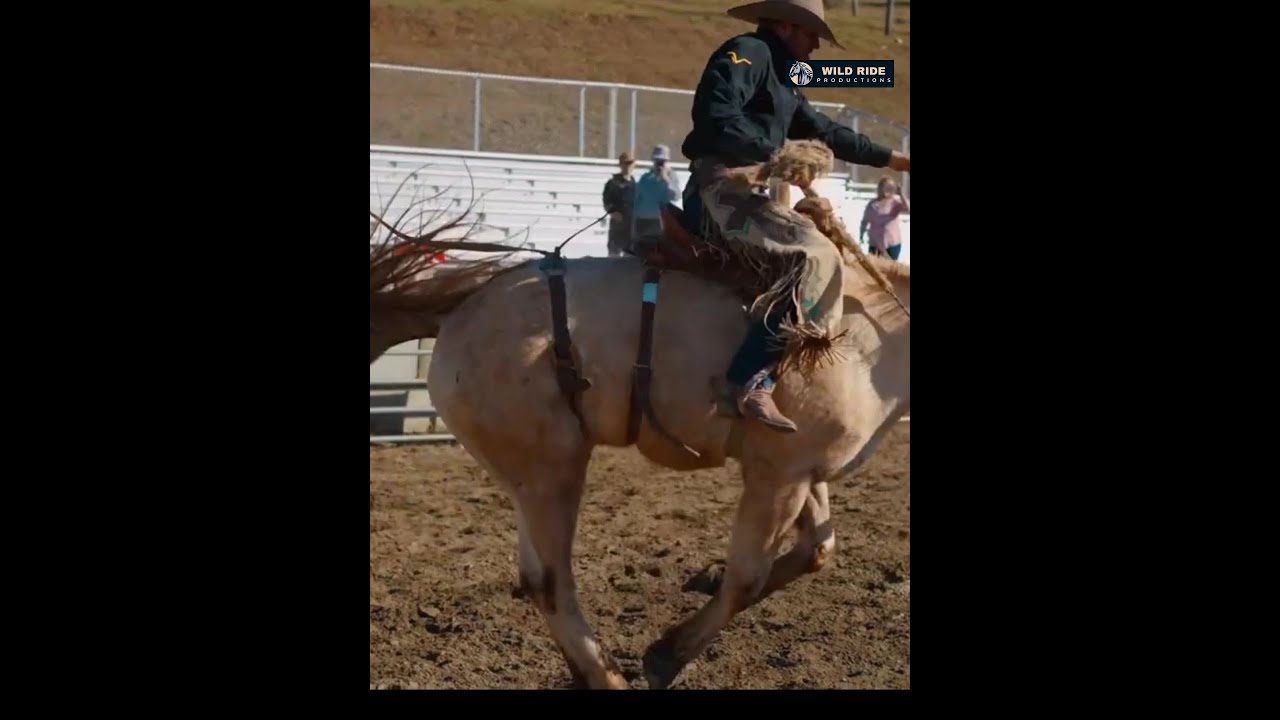 Justin Lawrence on Rebel Cry - Daily Bronc Riding | Rodeio | Wild Ride ...