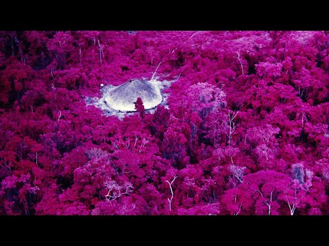 Indigenous Brazil: Claudia Andujar and the Yanomami struggle