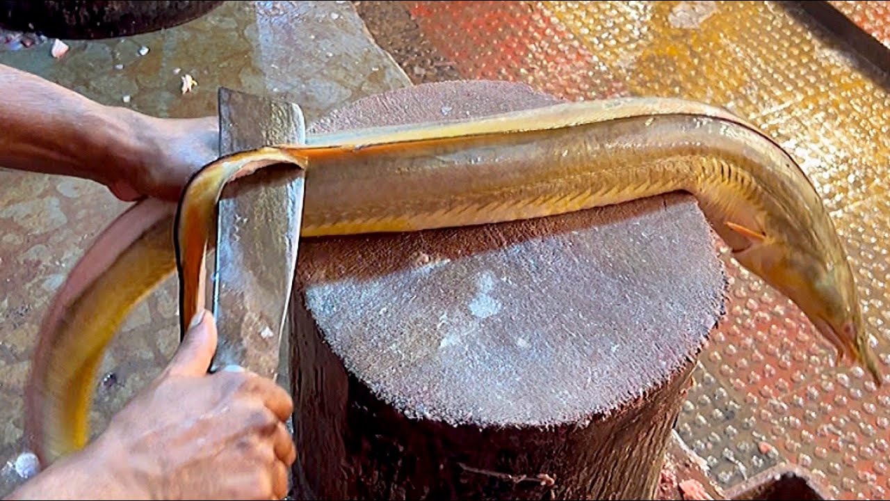 Amazing Golden Eel Fish Cutting In Fish Market | Eel Fish Cutting ...