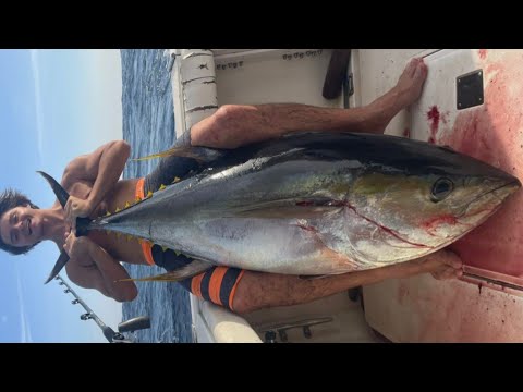 Yellow fins TUNA - SENEGAL - YouTube