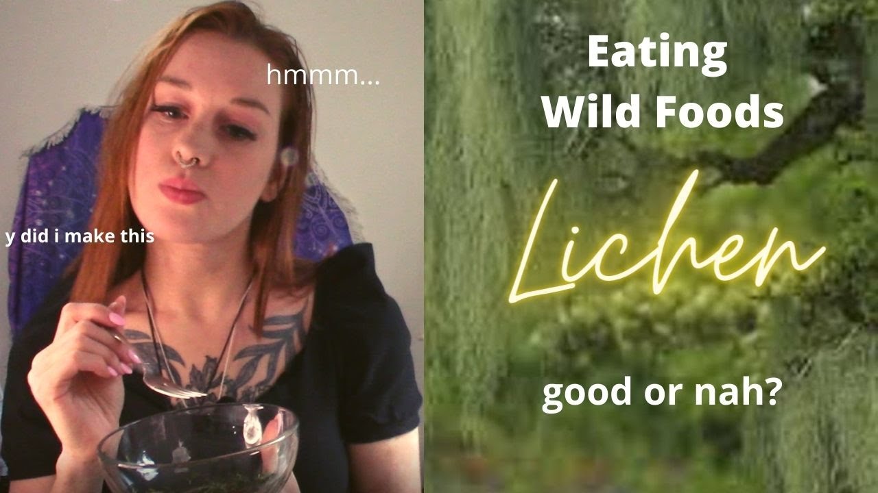 Can you eat LICHEN? (wild food recipe ft. Usnea) - YouTube