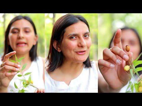 How to use neem the right way - YouTube