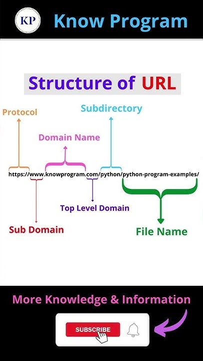 Structure of URL 💯 | #shorts #programming #knowprogram - YouTube