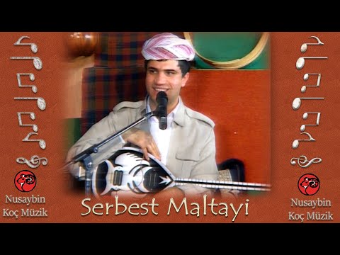 Kasım Koç Show Serbest Maltayi  Govend Raks Cİda Halay ZIndi Live Canlı