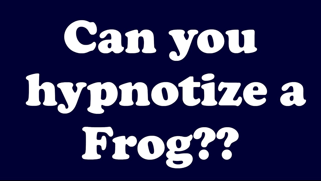 Can You Hypnotize A Frog | Common GK | Interesting Facts About Animals ...