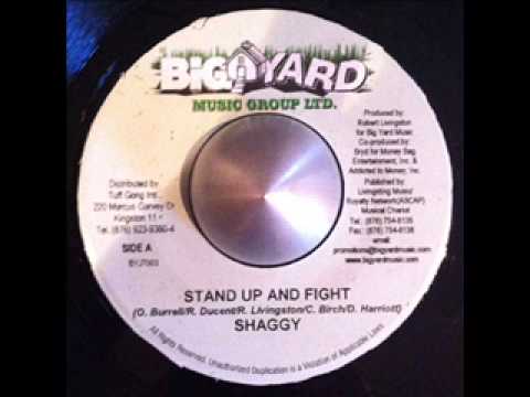 Shaggy Stand Up And Fight - YouTube