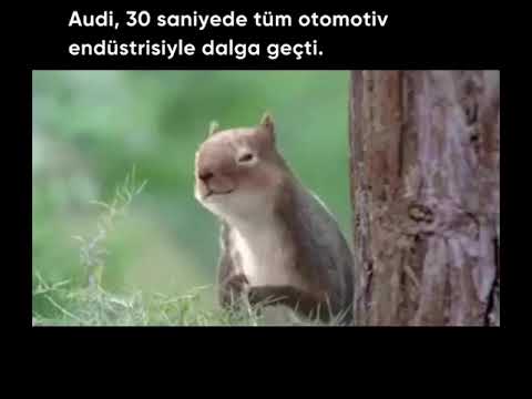 Audi 30 saniyede diğer markalarla dalga geçti 😂