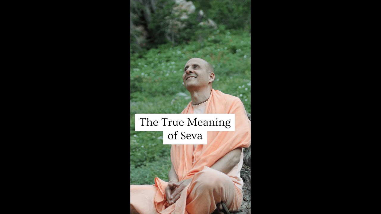 The True Meaning of Seva by His Holiness Radhanath Swami 🙏 - YouTube