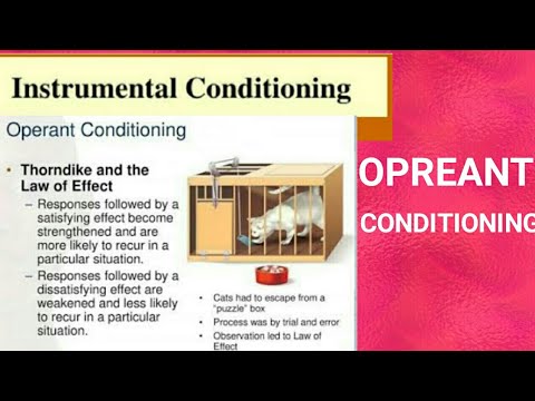 Instrumental Conditioning - An Introduction-Psychology,Positive Mind ...