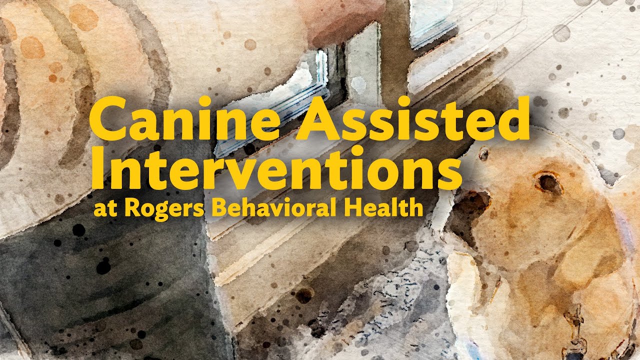 Canine Assisted Interventions | The Patients' Perspective - YouTube