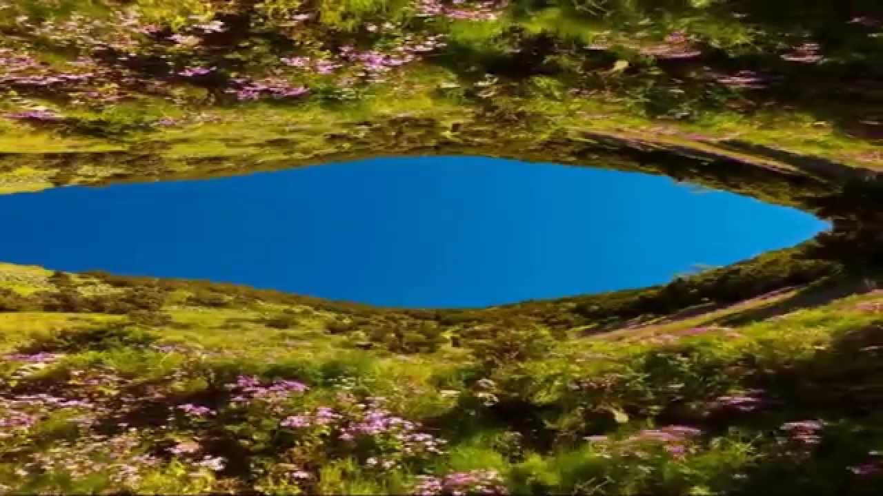 trippy kaleidoscope nature psychedelia - YouTube