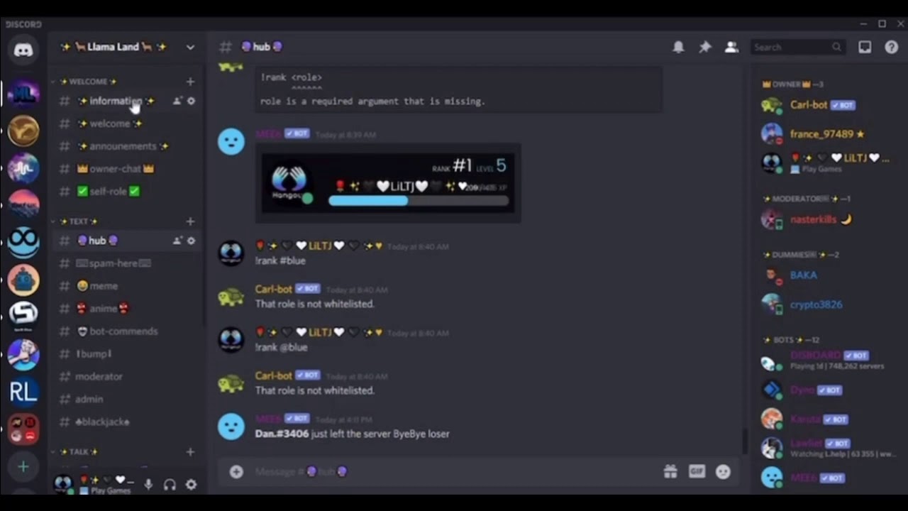 A friendly discord server to join - YouTube