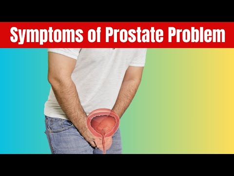Understanding the Common Symptoms of Prostate Problems | Physio Speaks ...